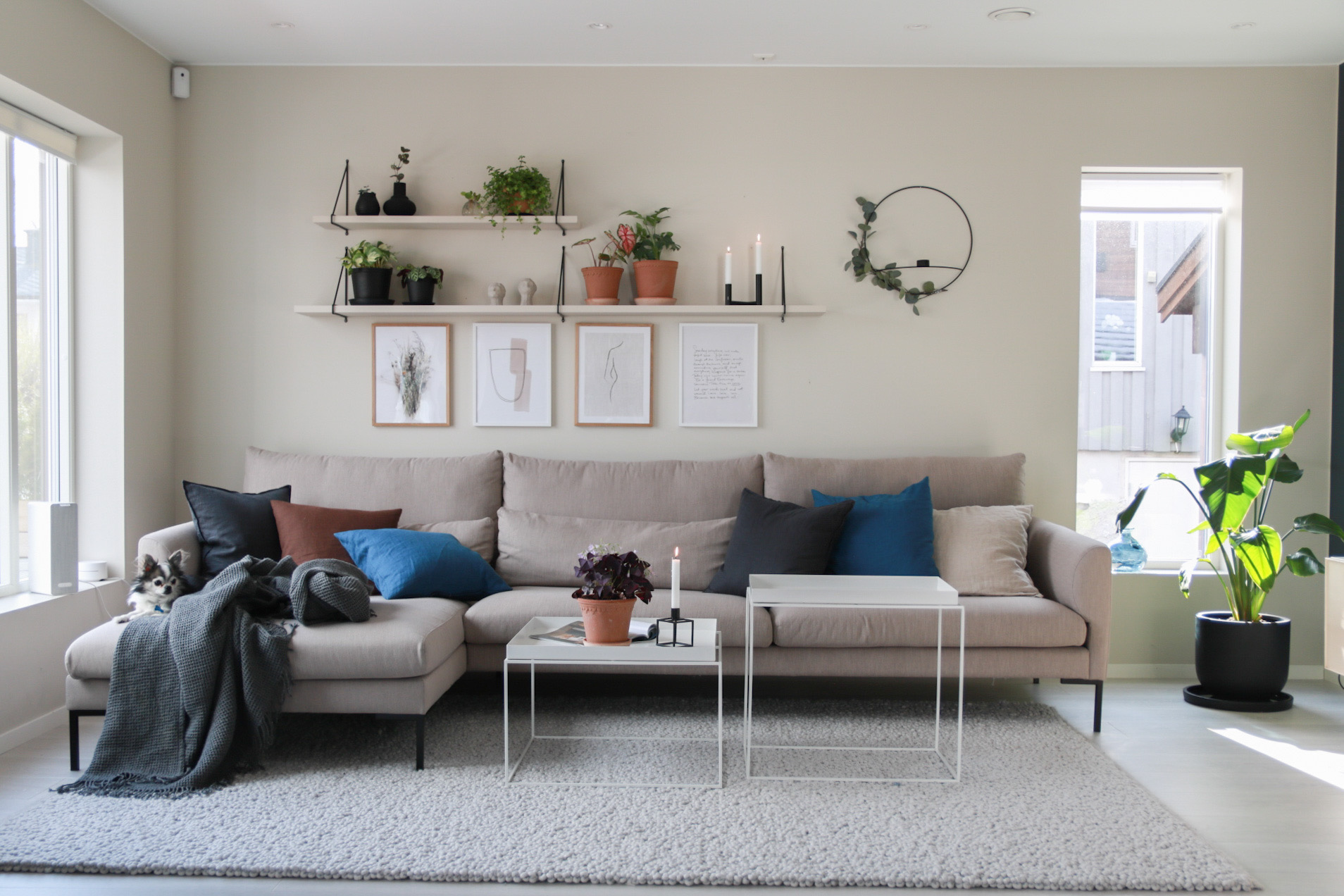 DIY Vegghyller | HVITELINJER